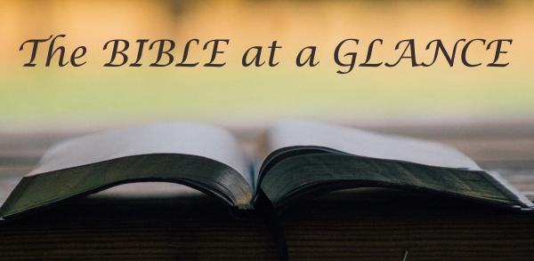 Welcome to Solid Ground Bible Study Ministries | Solid Ground Bible ...